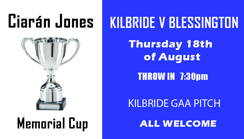 Ciaran Jones Sports Day with Clondalkin Rugby Club & Kilbride/Dunlavin ...